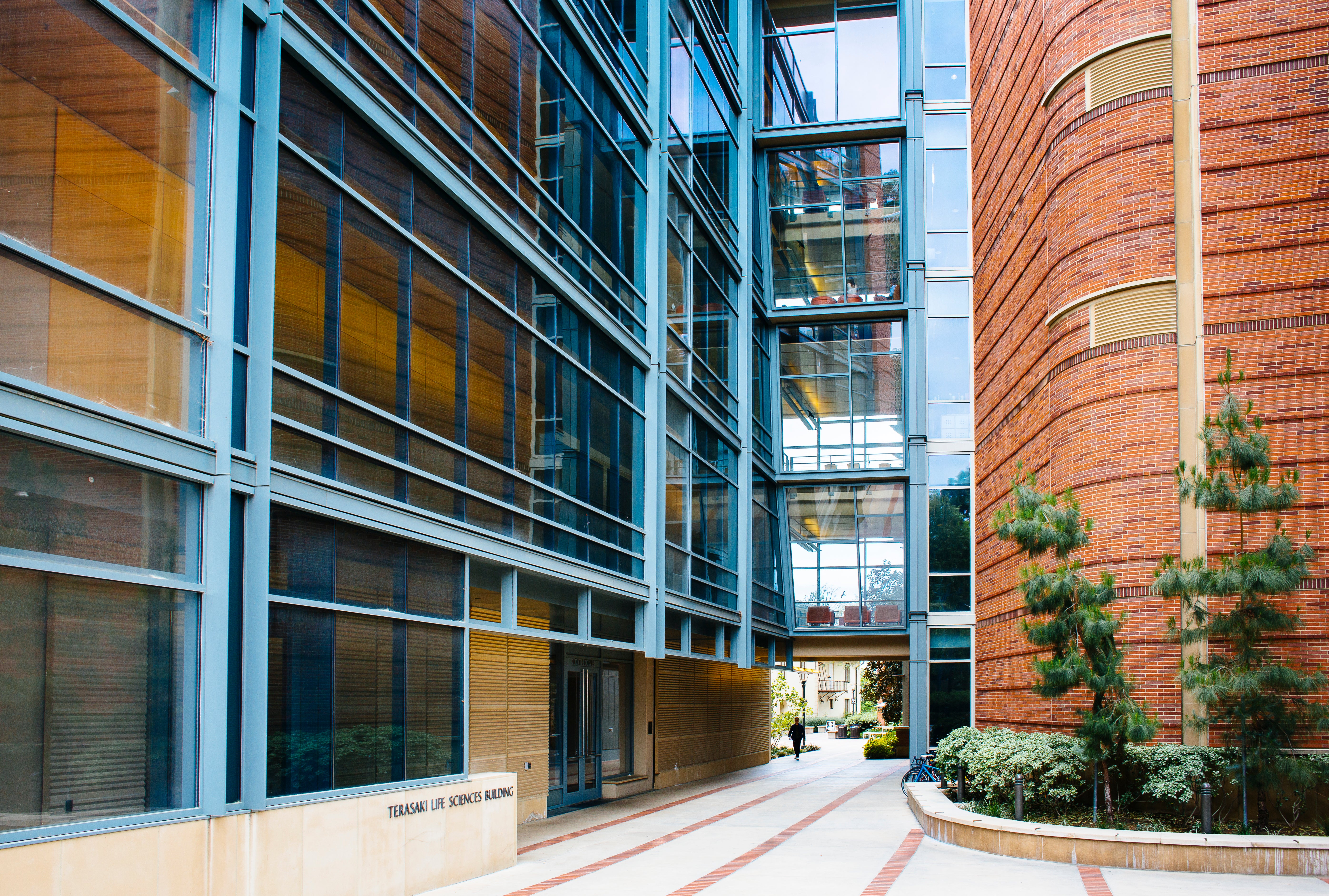 UCLA Broad Stem Cell Research Center (Homepage) | UCLA BSCRC